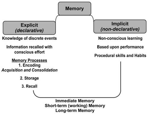 Physiological Psychology: Memory Types
