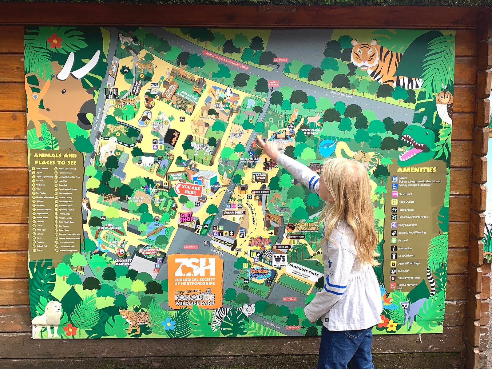Review of Paradise Wildlife Park in Hertfordshire - Counting To Ten