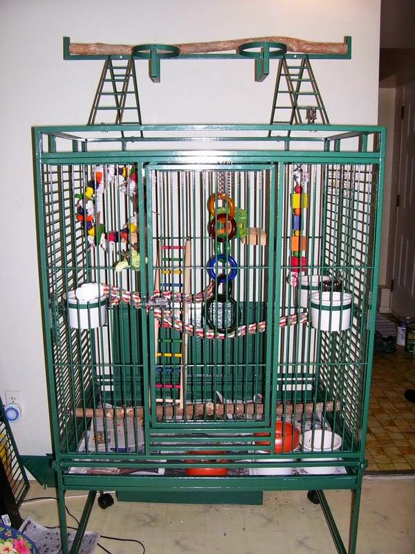 Bird Directory Parrot Cage And Toys Bird Directory Parrot Cage And Toys