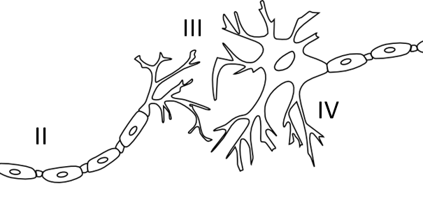 ENSINO DE QUÍMICA: Sinapse exercício