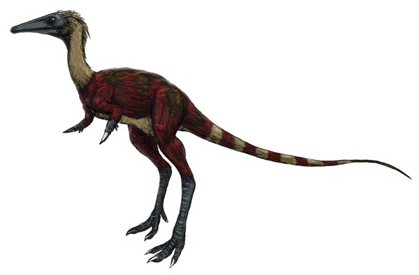 Linhenykus monodactylus | Dinos Tephix