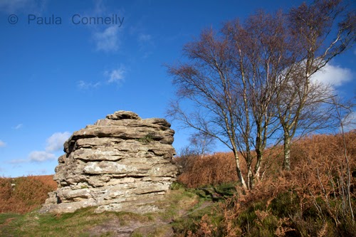 The Bridestones (North York Moors)