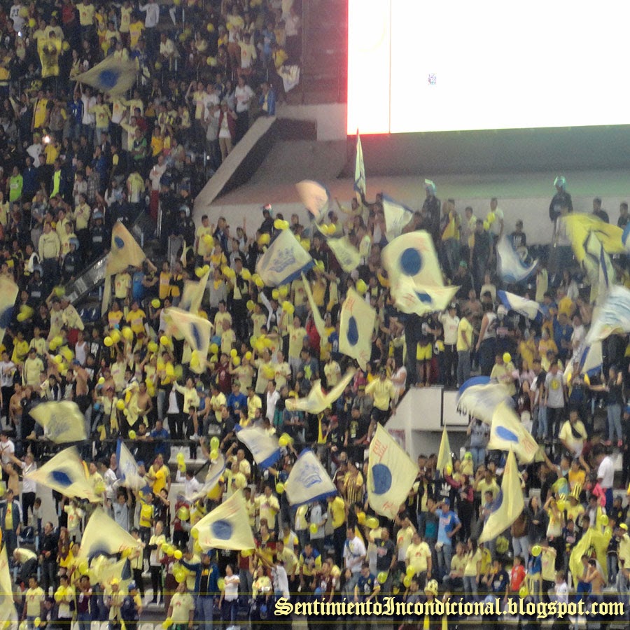 Club América // Sentimiento Incondicional: La hinchada americanista en ...