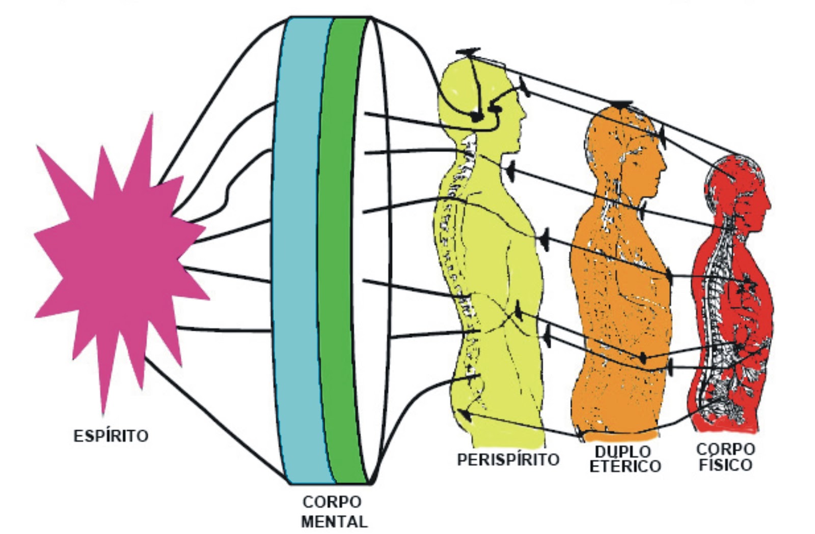 Página Espirita: O PERISPÍRITO