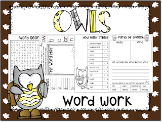 1st Grade Hip Hip Hooray!: "Owl" bet you will love this packet on OWLS!