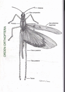 agroactivo - El mas moderno sitio de consulta técnica y comercial para ...