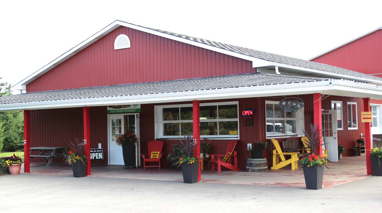 Farmers Feed Cities - The Fruit Shack | Toronto Teacher Mom