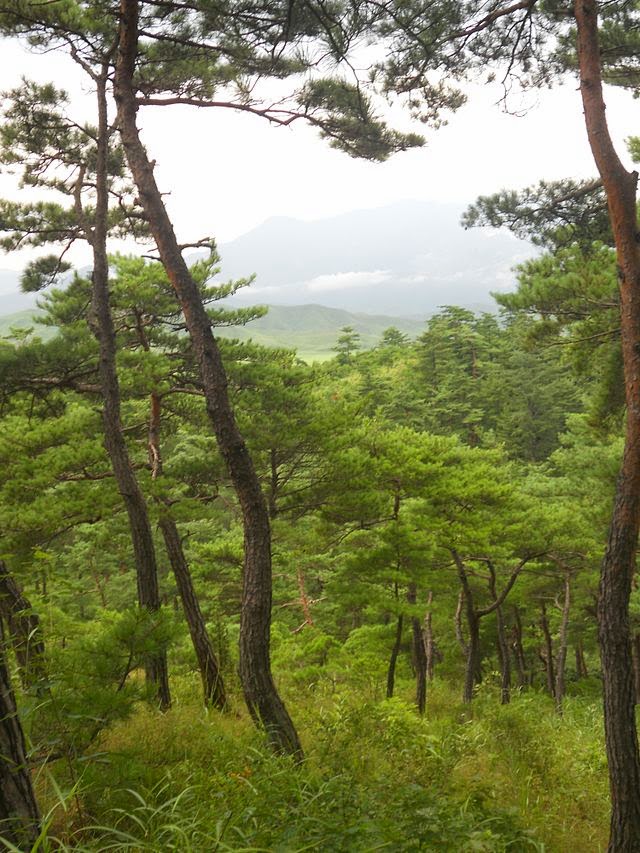 AccessDPRK: North Korea's Beauty & Untouched Wilderness