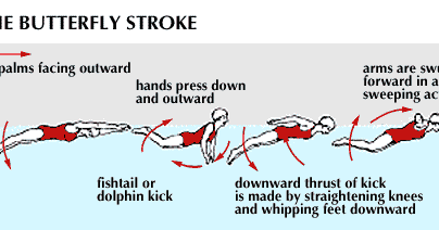 Learn To Swim : Butterfly Stroke