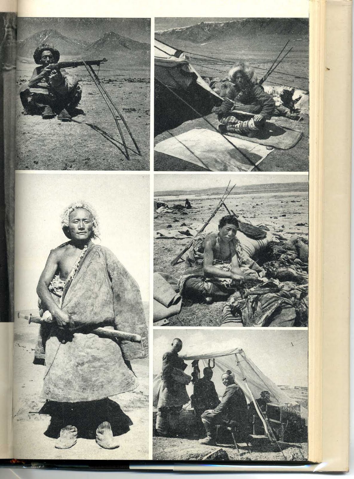 “Horned Rifles” – Stephen Bodio