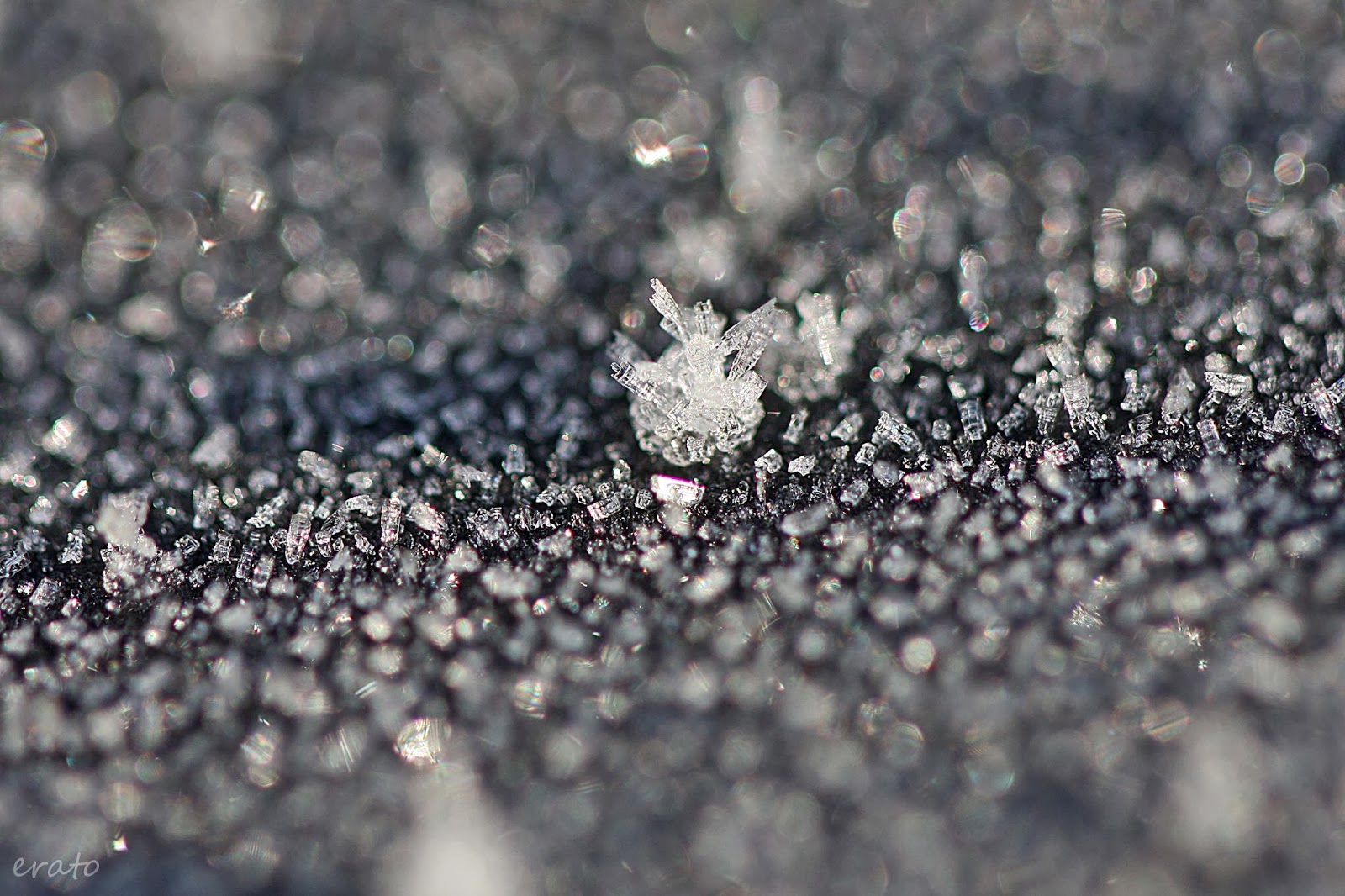 Rêveries: Entrée libre ......