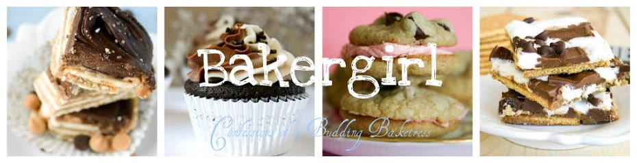 Bakergirl: Graham Cracker Chocolate Chip S'mores Cookies.