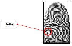 Criminalística: investigaciones I.C.Mborore: DACTILOSCOPÍA