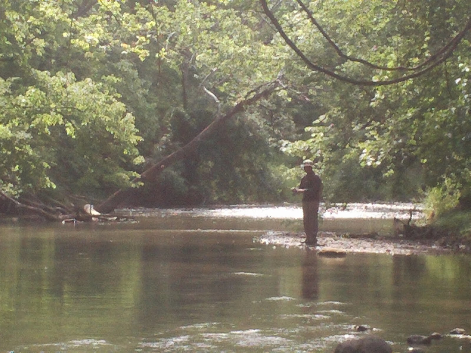 KISHWAUKEE RIVER SMALLIES : Kilbuck Creek