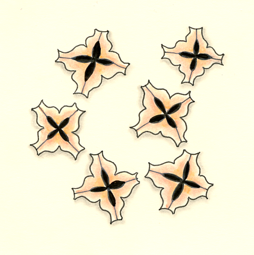 Time for Tangling: Today's Tangles - Blooming Petal & Brax