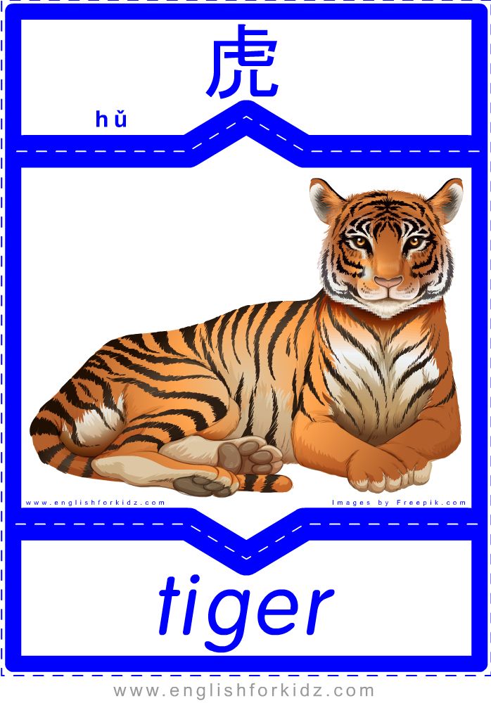 English-Chinese Flashcards: Wild Animals. Part 4.