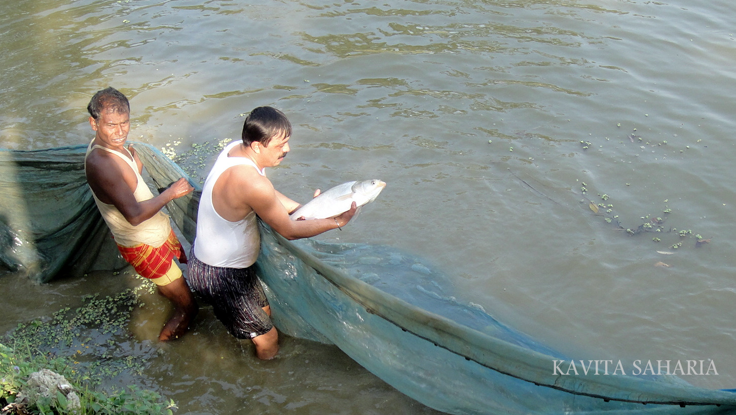 my room: Magh Bihu 2012 : Fish Catching, Meji And A Sagolir Puwali