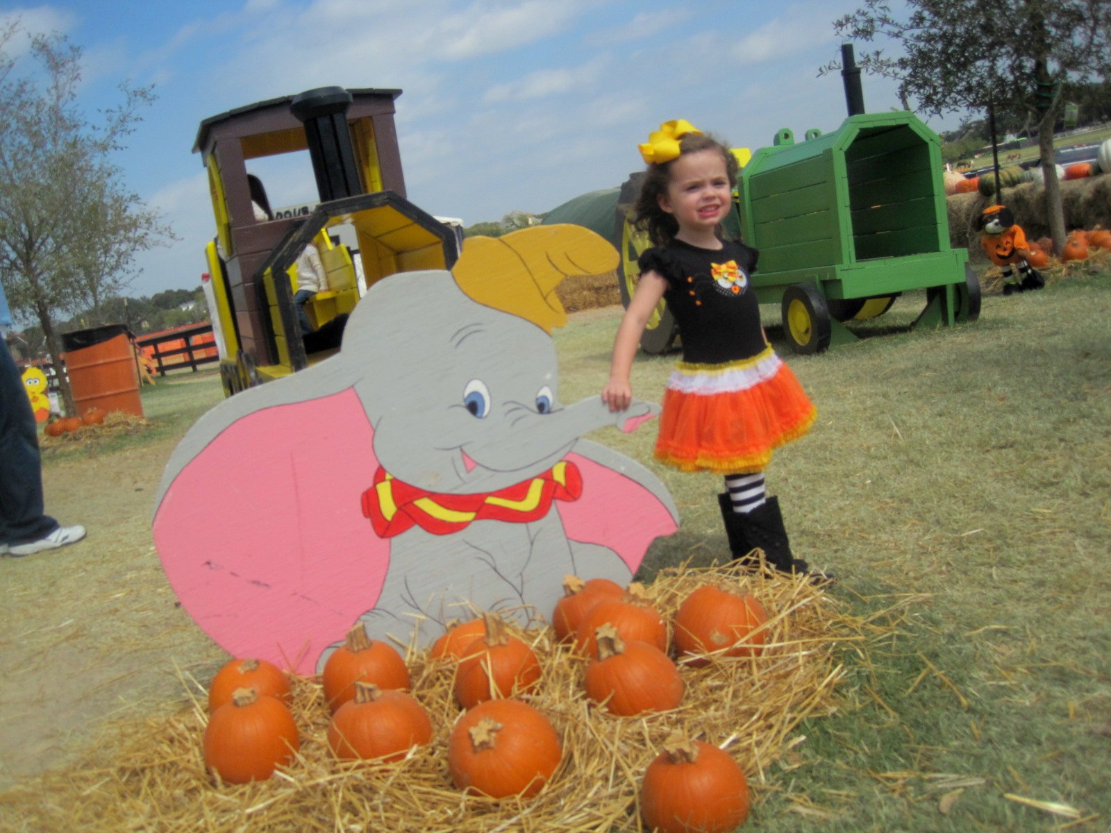 Diana's Delights: Pumpkin Patch 2012