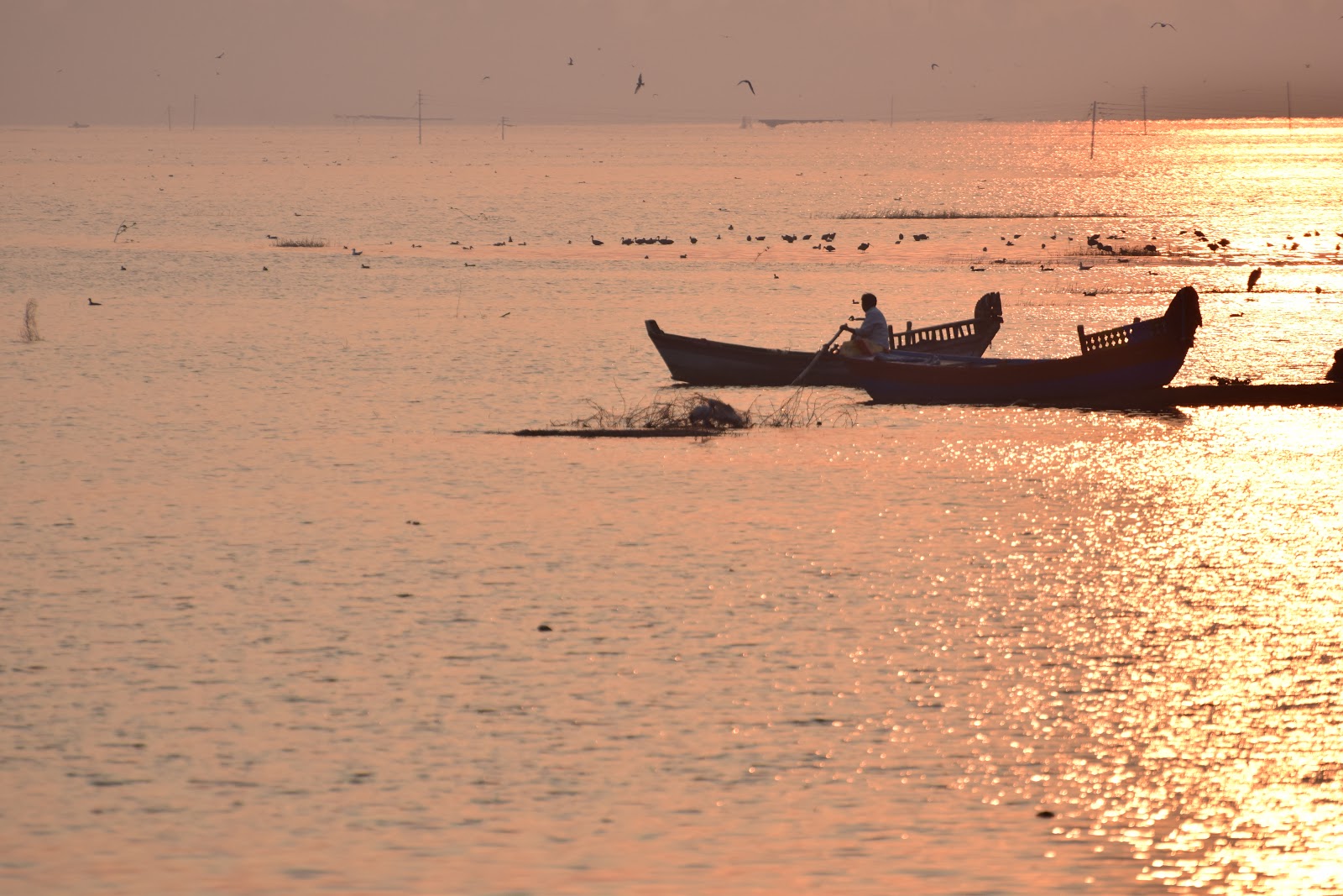 BHIGWAN BIRD SANCTUARY.....