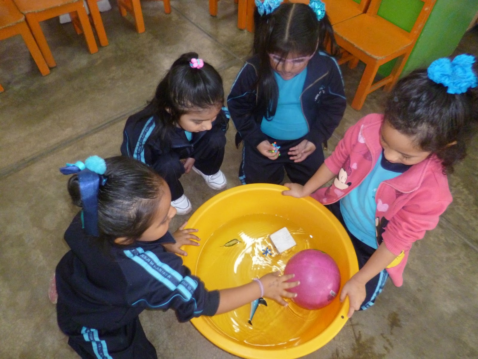 D. Hermelinda Reyes: ¿PORQUE FLOTAN Y SE HUNDEN?