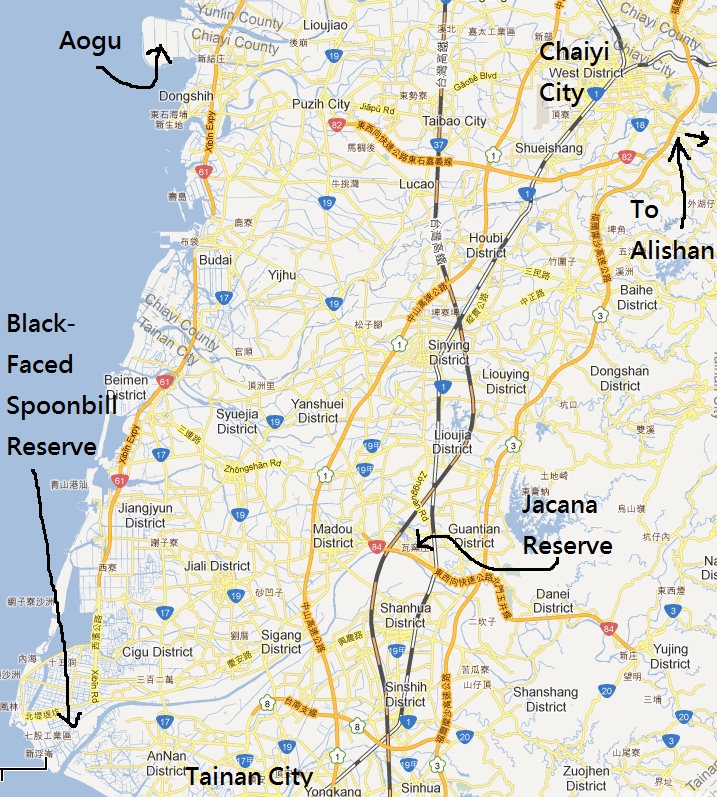 Birding Taiwan: January 2012