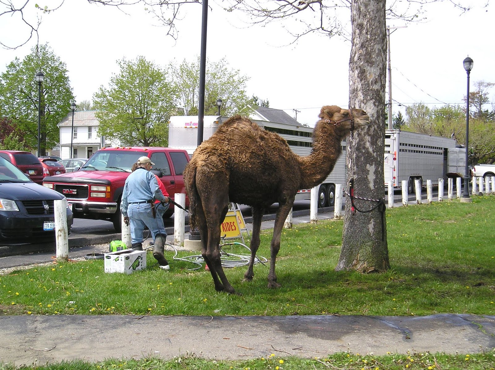 Ashville Viking Festival - Ashville, Ohio