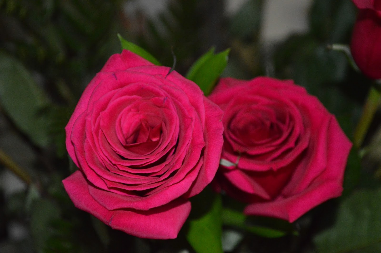 Back on the block and ready to rock, let's catch up!