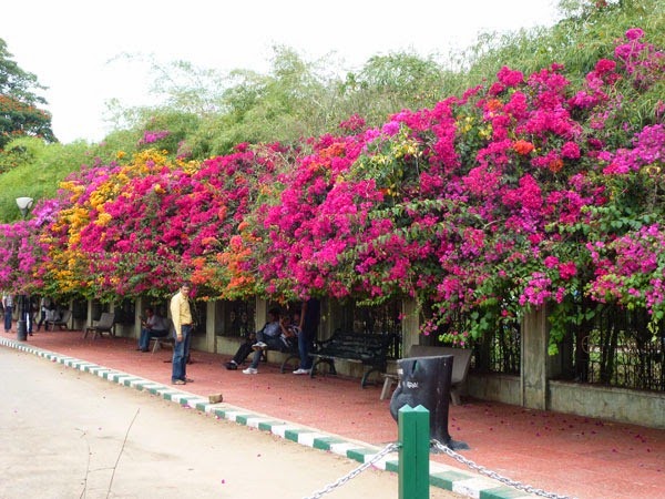 Iloilo City to launch Bongga Bella Beautification Project