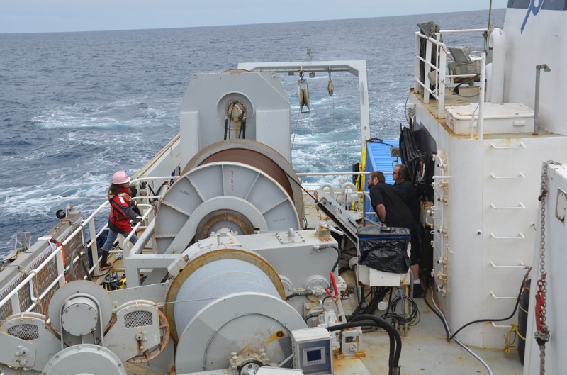 Charismatic Microfauna: Streaming the Wire