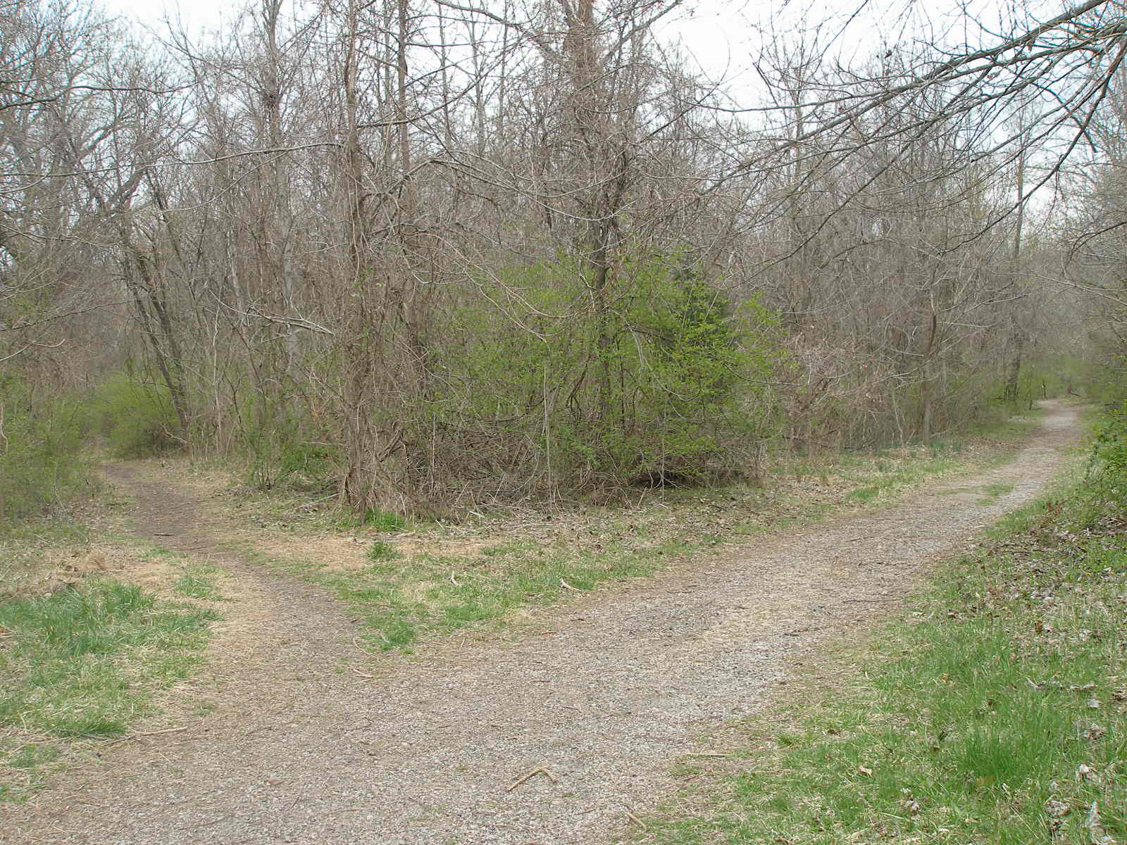 Transylvania Gentlemen: Garden of Forking Paths