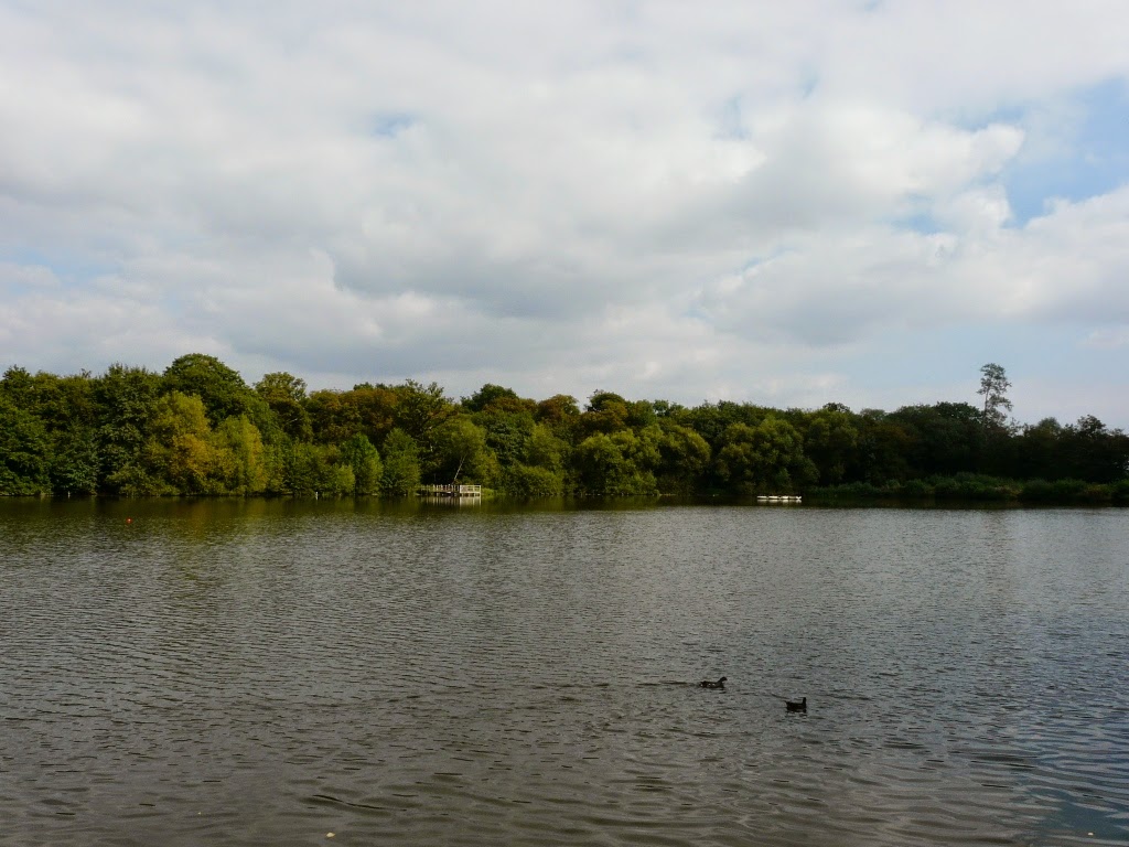 Cindy's Snaps: Hatfield Forest (stomping ground of my Hatfield Broad ...