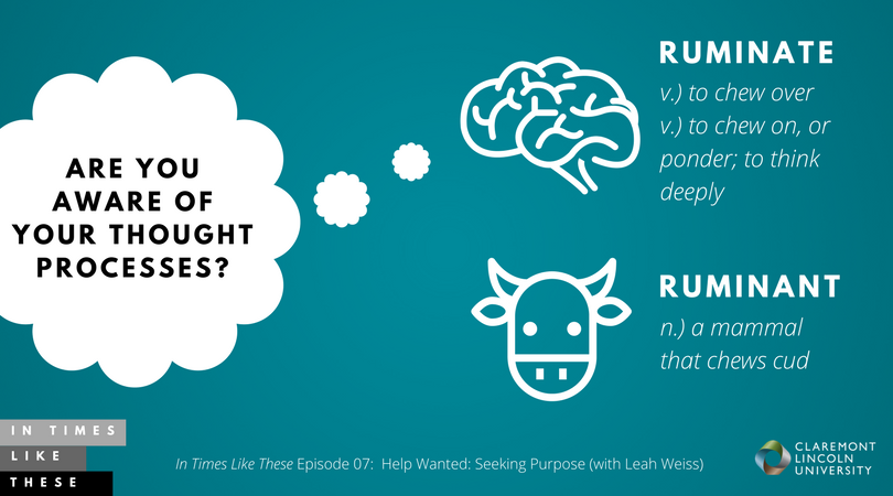 EXAMS AND ME : Ruminate and Ruminant