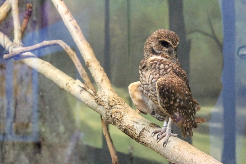(Bee)autiful Blessings: Our Trip to the Boonshoft Museum of Discovery ...