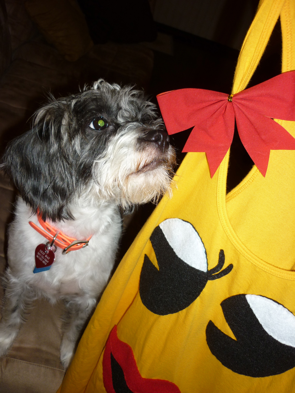 the daily do: halloween costume DIY: ms. pac man