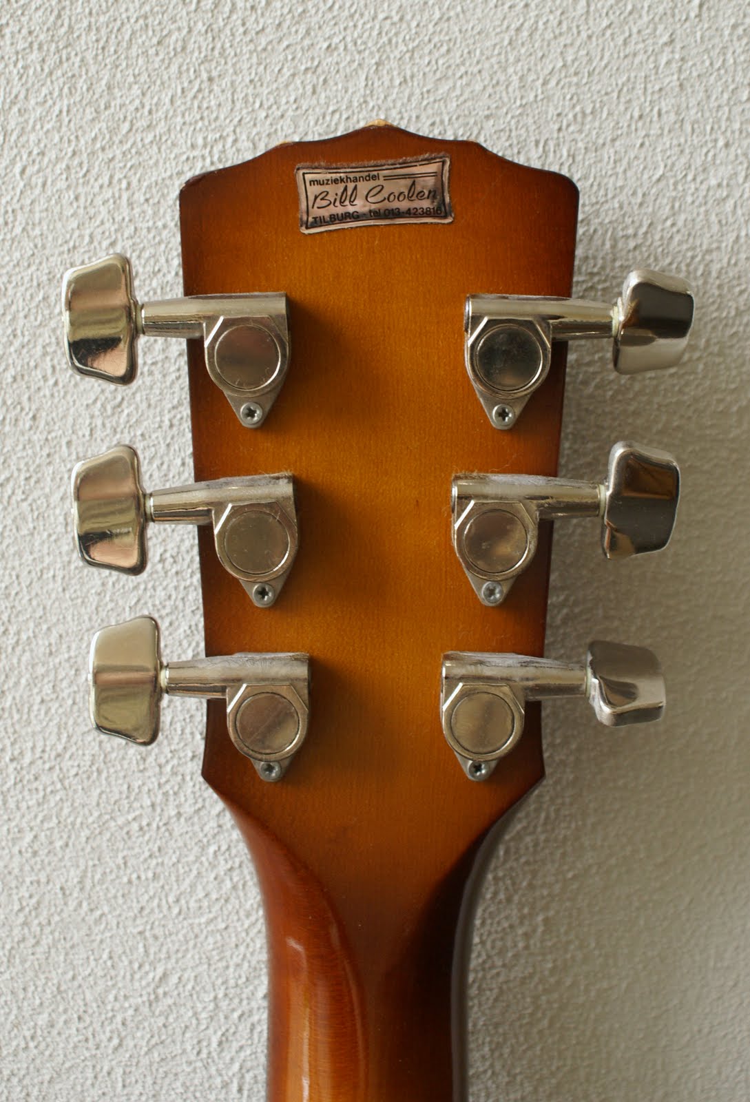 Noud's Guitar Collection: Alfesta / Alpha Musical Instruments / Martin D28