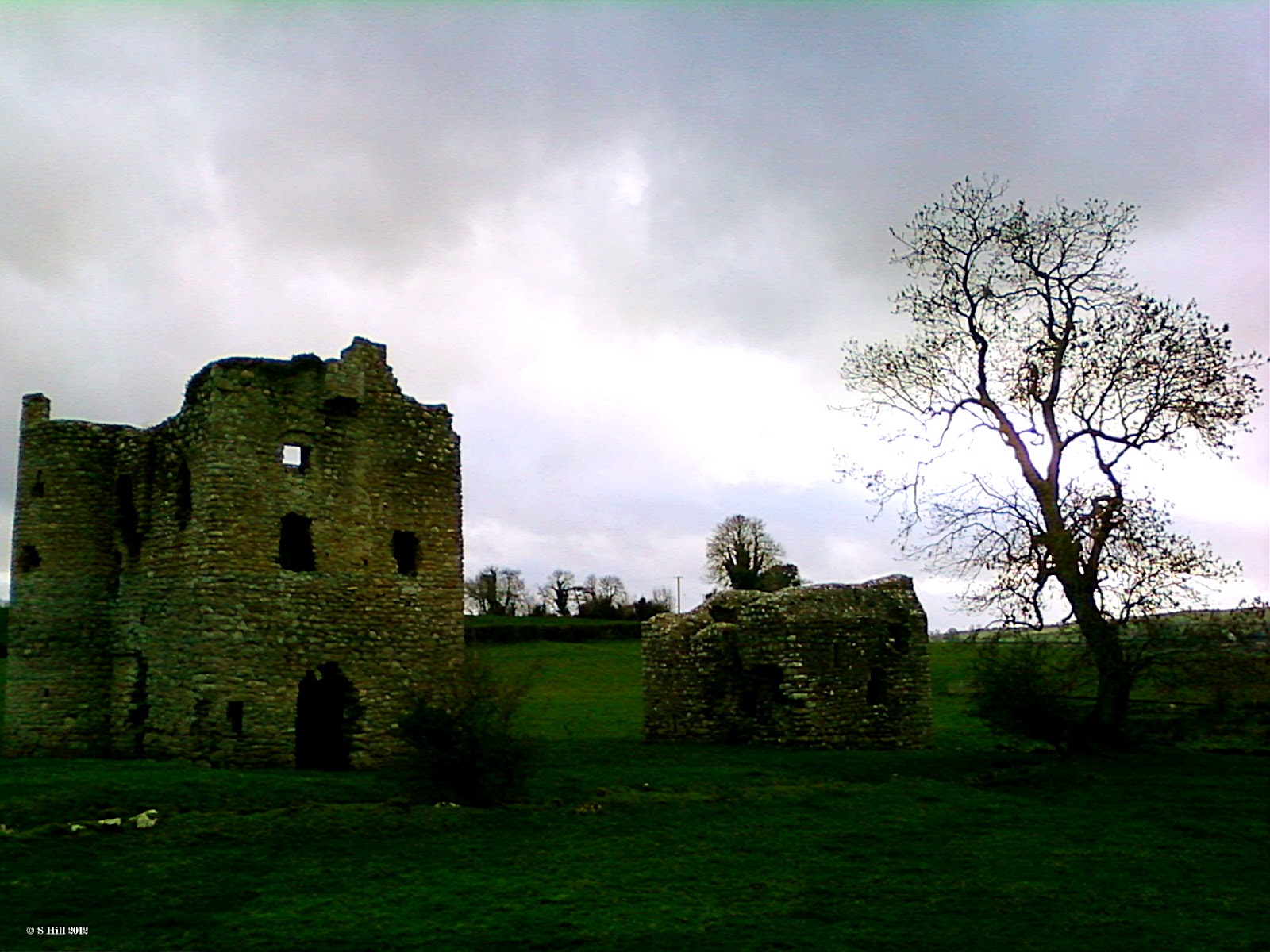 Ireland In Ruins: Ballyloughan Castle Co Carlow