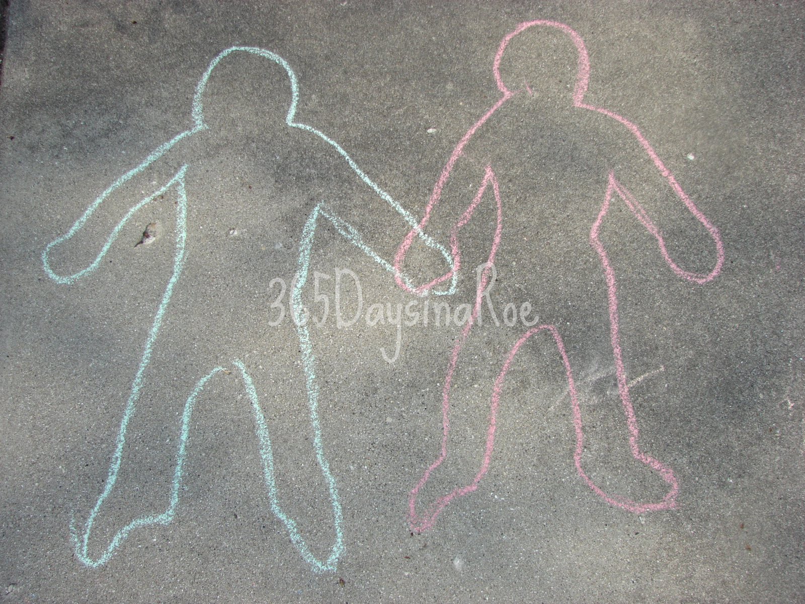 365 Days in a Roe: Chalk Drawings