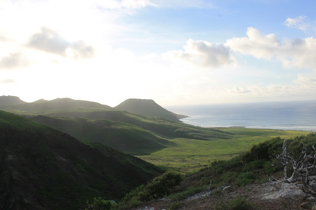 Biodiversidad de "El Bajío Profundo": ISLA CLARIÓN, ARCHIPIELAGO DE ...