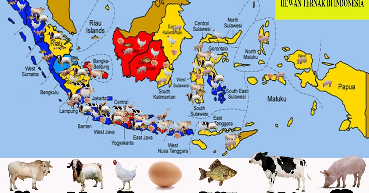 makalah: PETA PERSEBARAN HEWAN TERNAK DI INDNESIA