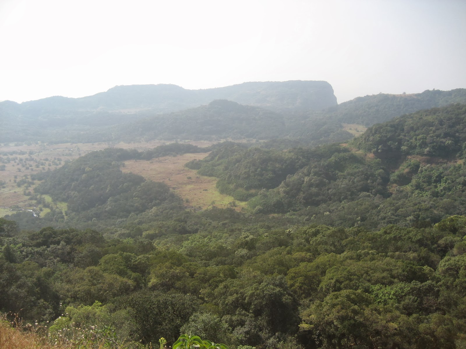 On the Edge of Sahyadris: Ahupe Sakhar Machi trek