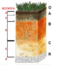 Lecho rocoso del suelo