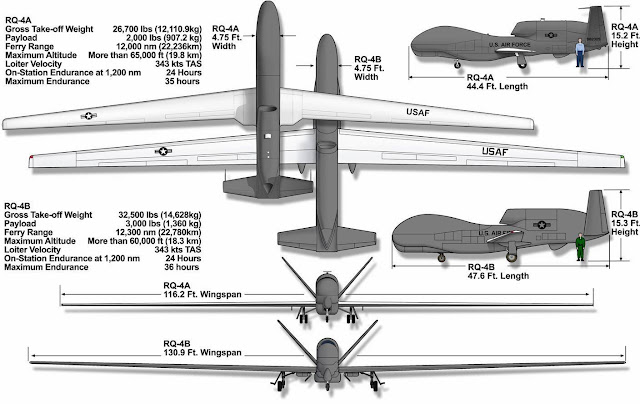 Bacterios Club: About the Global Hawk.-