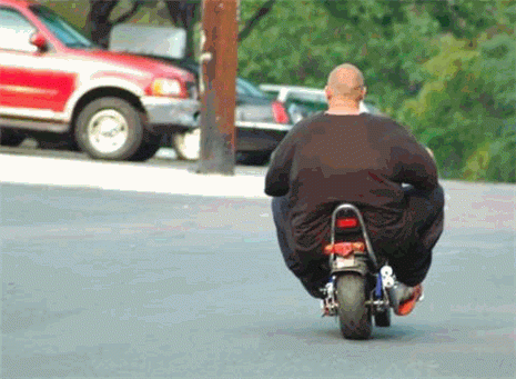 Gifs de gordos - Imagui