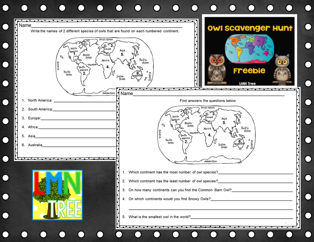"Where in the World" Owl Scavenger Hunt - Classroom Freebies