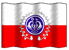 Arakan Patriotic Volunteer: Arakan Flag ရခိုင္အလံ - gif