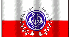 Arakan Patriotic Volunteer: Arakan Flag ရခိုင္အလံ - gif
