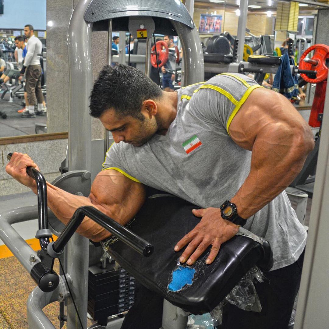 Muscle Lover: Muscle Kings of Persia