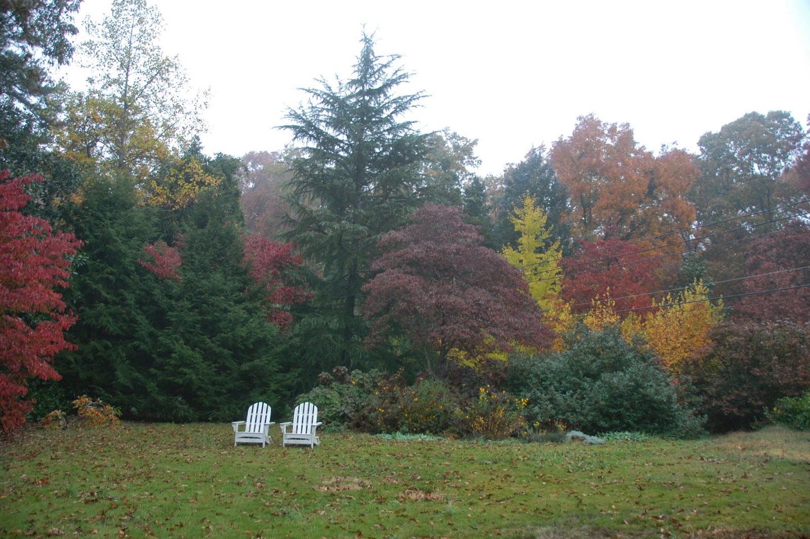 Creating a natural garden ~ Garden Architecture Blog