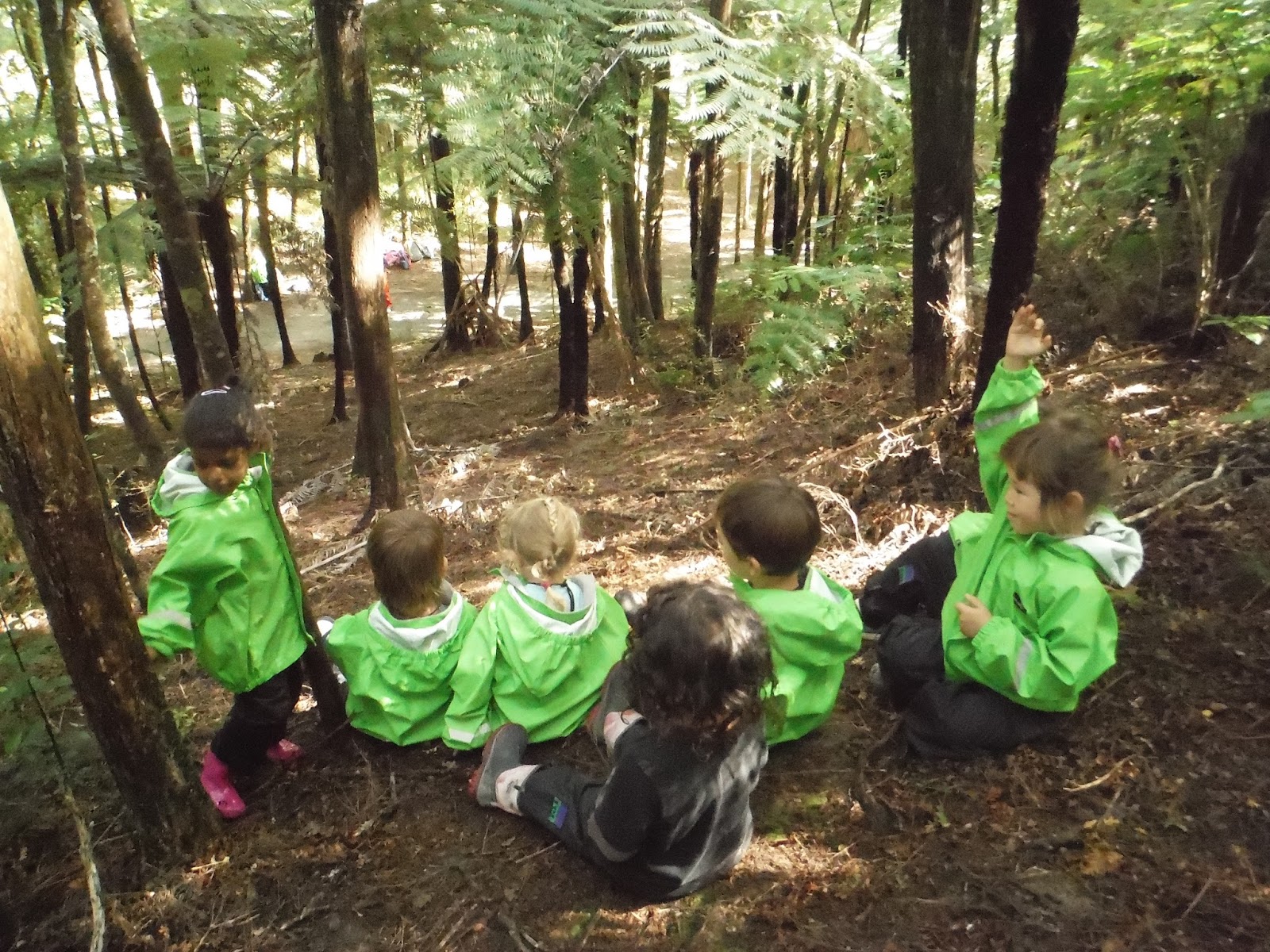 Mairtown Kindergarten: Our first Nature Programme for the year