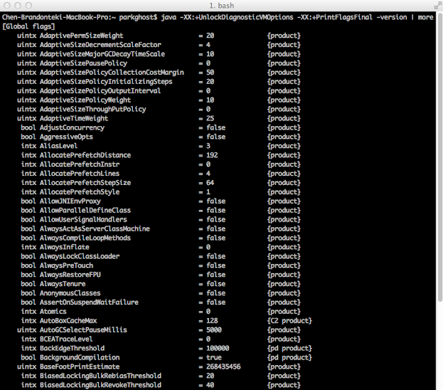 仙人掌世界: [Java Performance]Chapter 3:JVM Overview